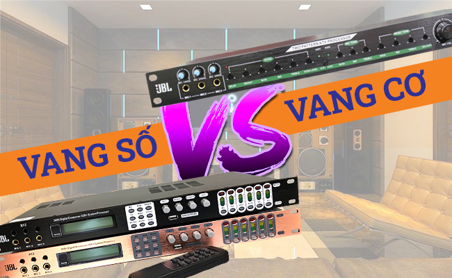 Có những loại vang karaoke nào hiện nay?